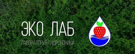 Лаборатория гидропоники "ЭкоЛаб" 2025 | ВКонтакте