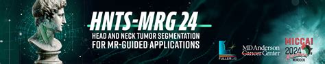 Overview Head And Neck Tumor Segmentation For Mr Guided Applications Grand Challenge