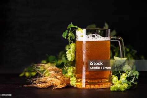 어두운 나무 배경에 밀과 홉 콘 맥주 의 잔 옥토버페스트 배경 0명에 대한 스톡 사진 및 기타 이미지 0명 10월 가득 찬 Istock
