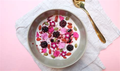 The Benefits Of Coconut Yoghurt Recipe The Raw Kitchen Healthy