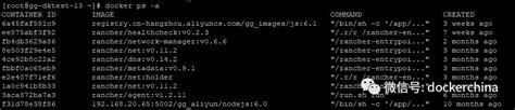 Docker Ivy