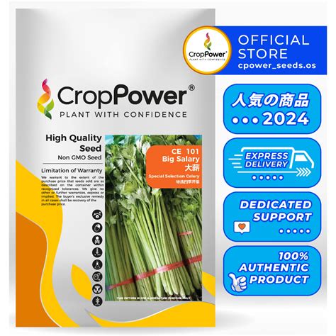 50 GRAM Biji Benih Daun Sup Saderi Big Salary 大薪 CE101 CROP POWER Celery seeds 芹菜种子 CE 101