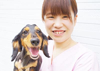 スタッフ紹介 とよかわ動物病院