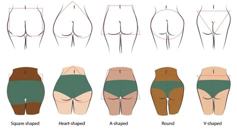 Bbl Brazilian Butt Lift Elixir Clinic