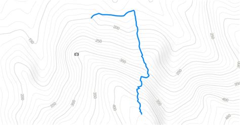 Mount Cameron Link Track Hiking Trail Gladstone Tas