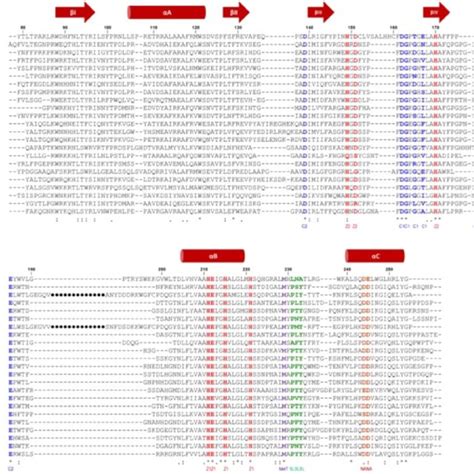 Mmp Catalytic Domain A Sequence Alignment Of The Catalytic Domains Of