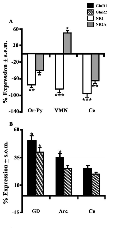 Brain Expression Levels Of Nmdar And Ampar On Cnqx Treated Hamsters