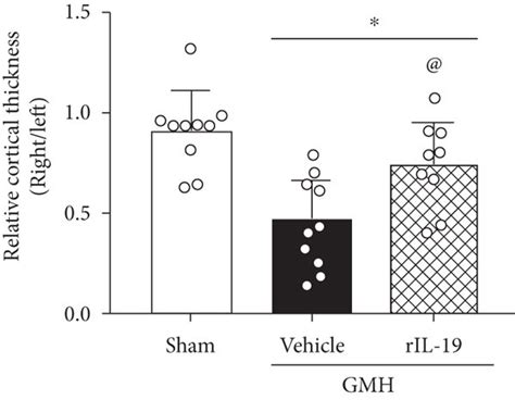 Ril 19 10 μgkg In Treatment Reduced The Ventricular Volume And