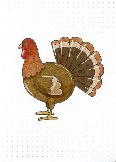 How To Draw A Turkey Tutorial Step By Step For Beginners Archer And