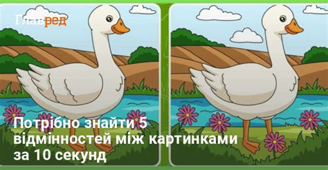 Загадка для перевірки на уважність лише одиниці знайдуть 5 відмінностей за 10 секунд Главред