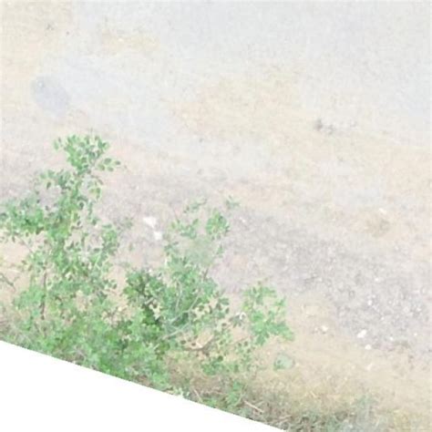 Rdd Object Detection Dataset And Pre Trained Model By Rdd