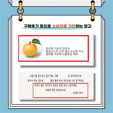 식약처 온라인 시민감시단 3기 식품 의료제품 온라인 광고 꼼꼼히 살펴보세요 네이버 블로그