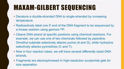 Gene Mapping And Sequencing Pptx