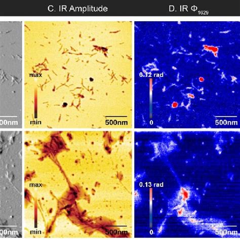 lll figure is a low resolution version lll nanoscale infrared imaging