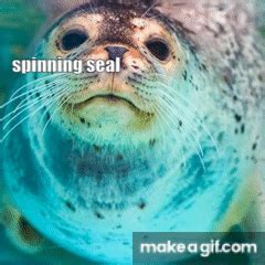 Seal Spinning 