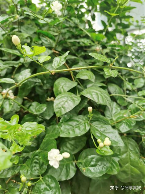 王潇《趁早》笔记1 知乎