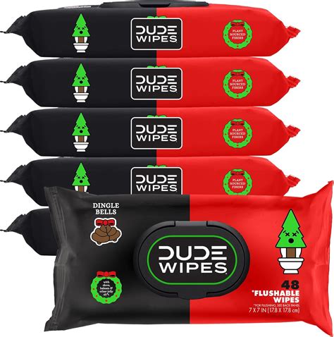 Dude Wipes Flushable Wipes For Adults 6 Pack 288 Count