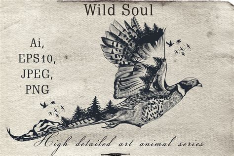 Pheasant Vector At Collection Of Pheasant Vector Free