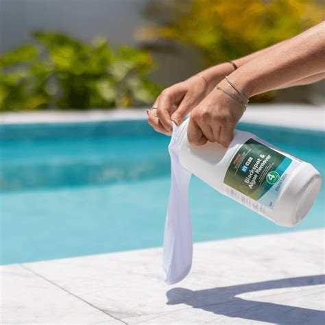 Hy Clor Blackspot And Algae Remover Hyclor