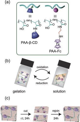Cyclodextrin‐based Supramolecular Assemblies And Hydrogels Recent