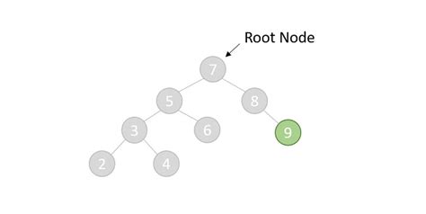 Splay Trees In Data Structures