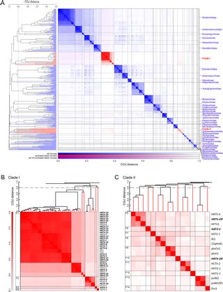Diversity Taxonomy And Evolution Of Archaeal Viruses Of The Class