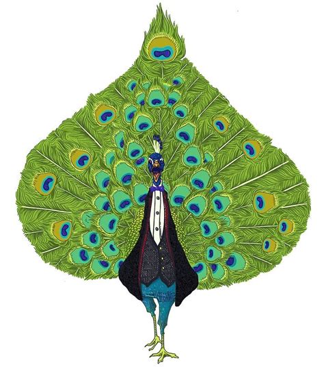 Peacock By Jiaqihe Animal Art Mythical Creatures Animal Lover