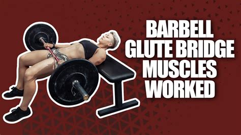 Discover 3 Barbell Glute Bridge Muscles Worked