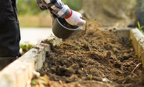 Backyard Composting Vs Rapid Composting Which Method Suits Your Lifestyle Jeden Bioscience