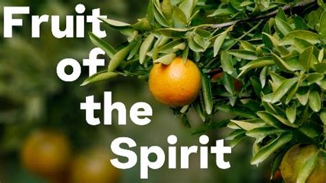 Church Video Illustration Fruit Of The Spirit