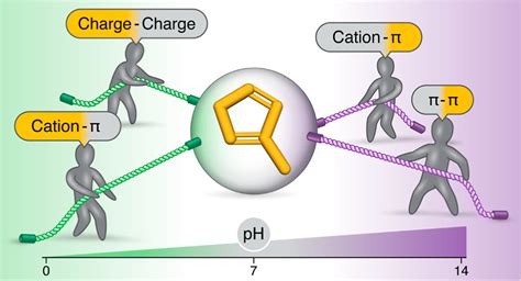 Histidine In Proteins Ph Dependent Interplay Between ππ Cationπ And Chπ Interactions Histidine In Proteins Ph Dependent Interplay Between ππ Cationπ And Chπ Interactions