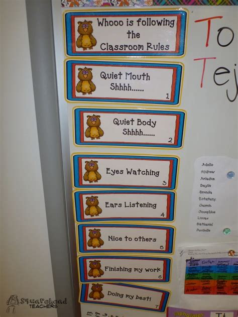 The Classroom Owl Style Squarehead Teachers