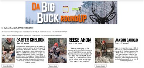 Deer Daily Movement Timeline Unlocking The Secrets Of Wildlife