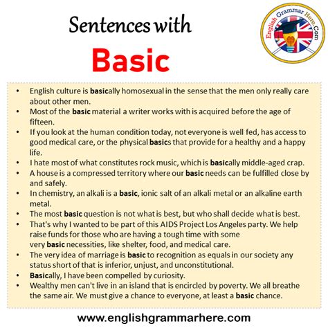 Sentences With Basic Basic In A Sentence In English Sentences For