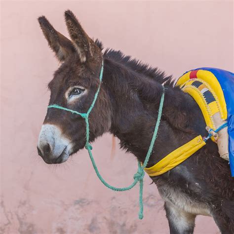 Were Very Excited To Announce That Spana Is A Finalist In This Years… Spana