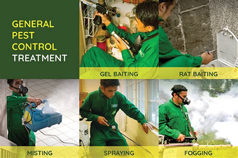 Why You Should Get Pest Control Services Topbest Pest Services Inc