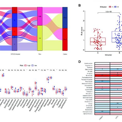 The Correlation Of Microbiome Derived Subtypes And Signature A