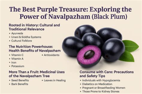 62navalpazham Black Plum Health Benefits Uses And More The Purple