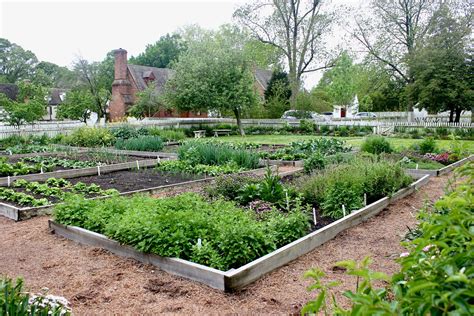 Planning My Vegetable Garden For This Year This House Of Dreams