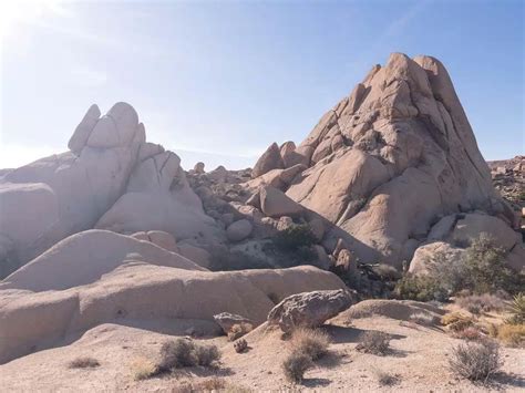 Stunning Hikes In Joshua Tree National Park — The Discoveries Of