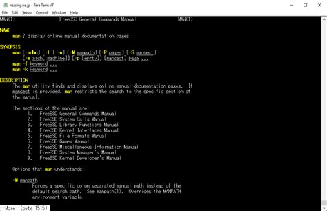 Tera Term In Packet Tracer Innovsera
