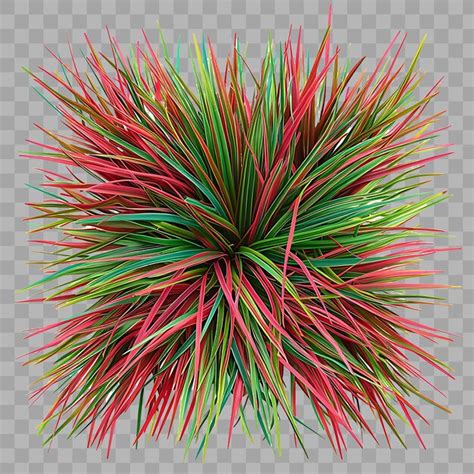 Premium Psd Psd Indian Grass With Vivid Red Reed And Turquoise Veins