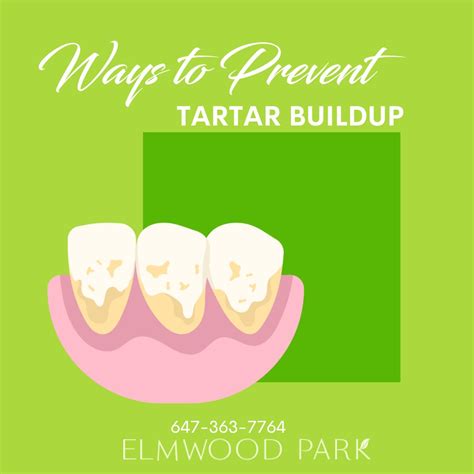 Elmwood Park Dental On Linkedin Ways To Prevent Tartar Buildup To