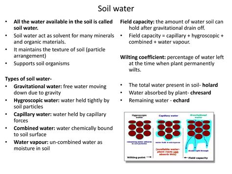 Edaphic Factors Soil Profile Structure Porosity Soil Moisture Soil