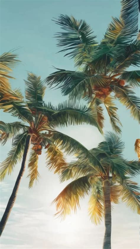 Download Our Top Aesthetic Summer Wallpaper Iphone Designs
