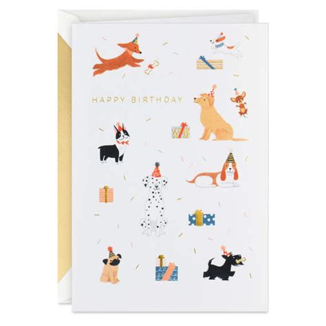 Party Pups Birthday Card Greeting Cards Hallmark