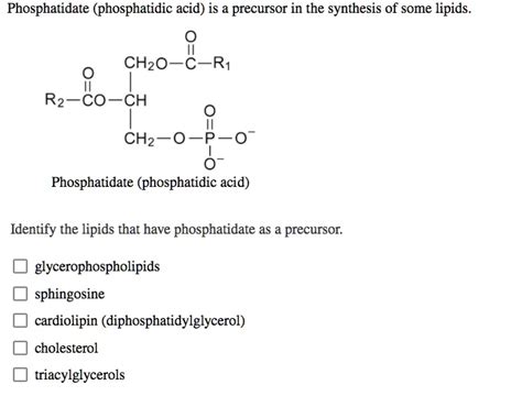 Solved Phosphatidate Phosphatidic Acid Is A Precursor In The