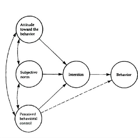 Tam Model Adapted From Davis And Venkatesh 1996 P 20 Download Scientific Diagram