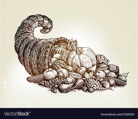 Thanksgiving Cornucopia Drawing