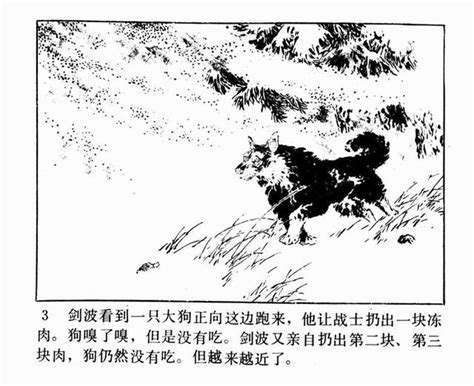 連環畫 林海雪原（下） （趙明鈞 繪） 每日頭條